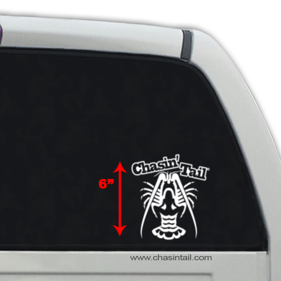 Chasin' Tail Fish Vinyl Decal